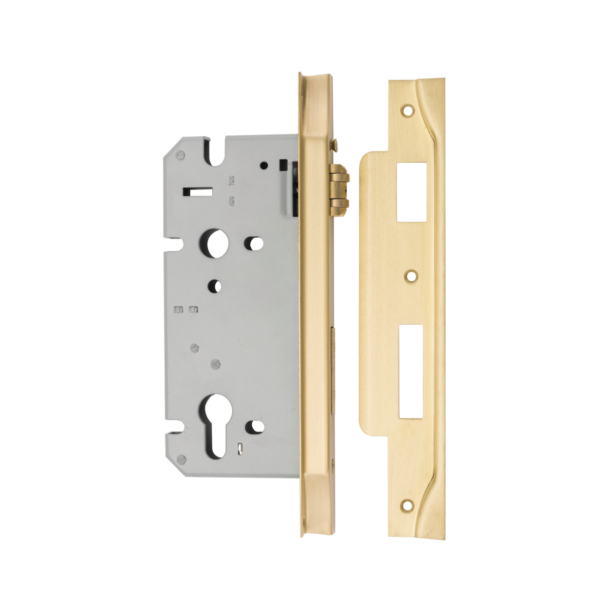Euro Roller Lock Rebated Brushed Gold PVD 60mm – The Renovation Shop