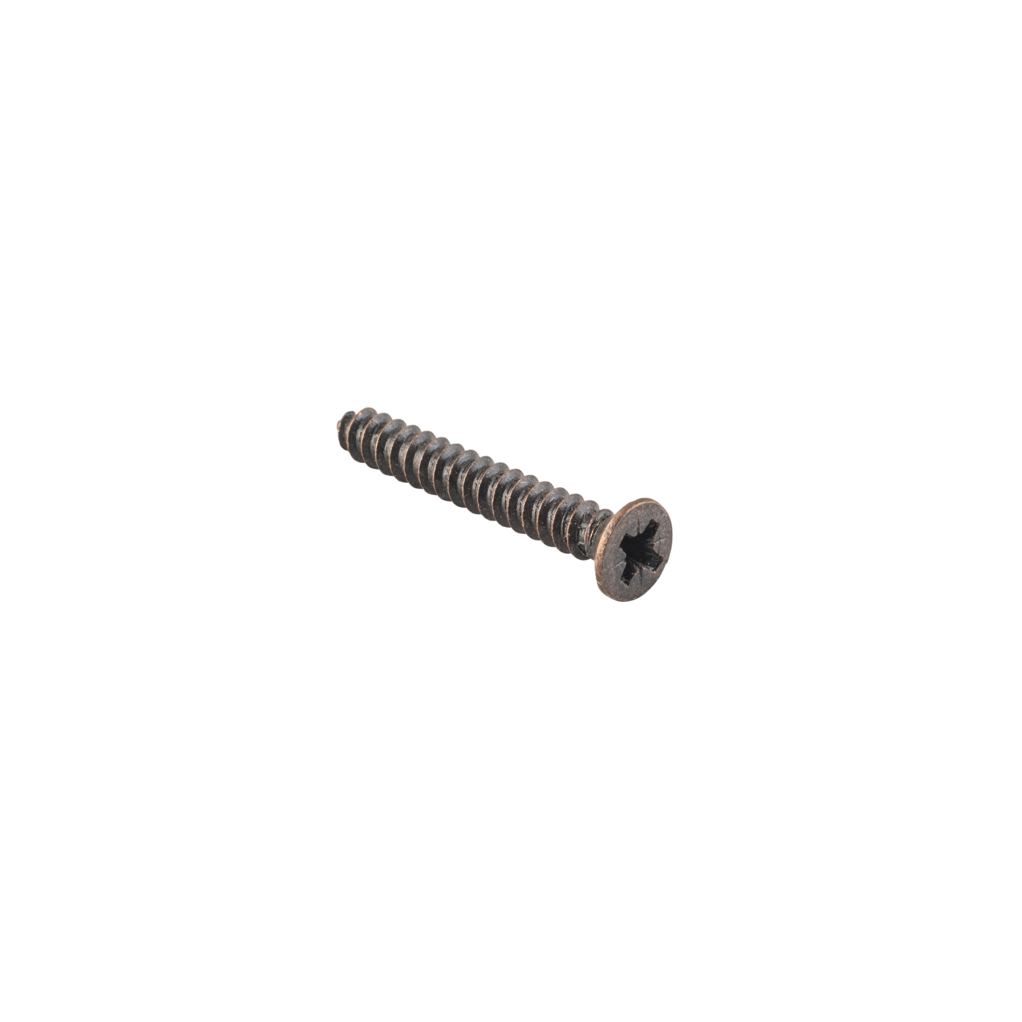 Screw - Hinge Stainless Steel Antique Copper 10g x 32mm (50 pack) – The ...